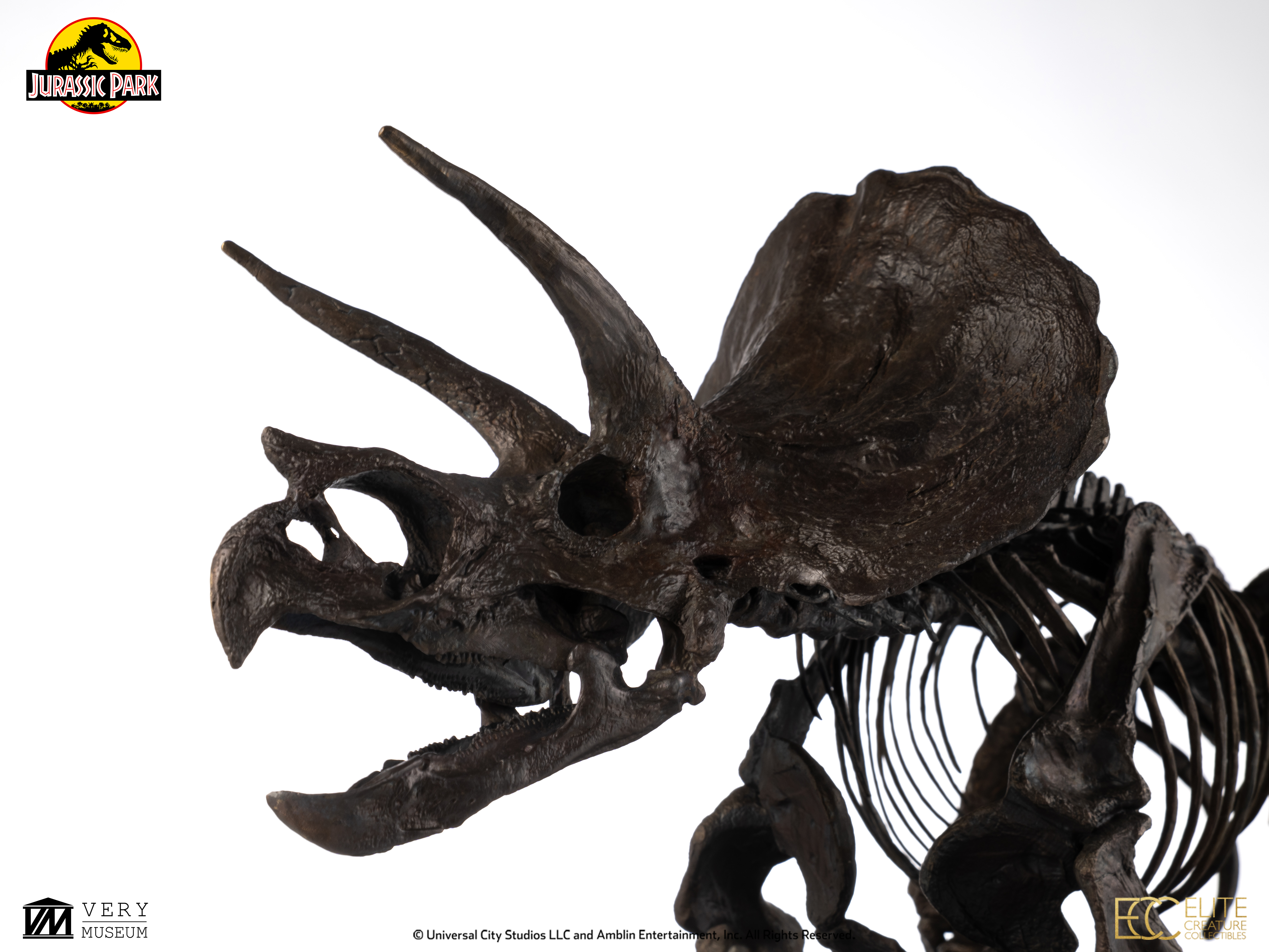 Triceratops Fossil Skeleton – 1:12 Scale Bronze : Cinemaquette ...